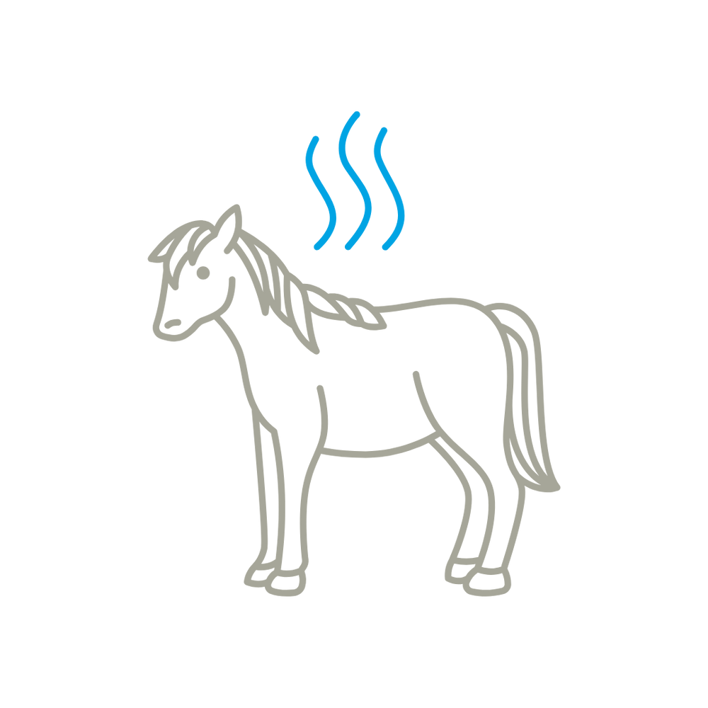 Horse Barn Ceiling Fans | HVLS Fans for Stables | MacroAir – MacroAir Fans