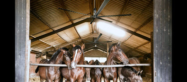 Horse Barn Ceiling Fans | HVLS Fans for Stables | MacroAir – MacroAir Fans